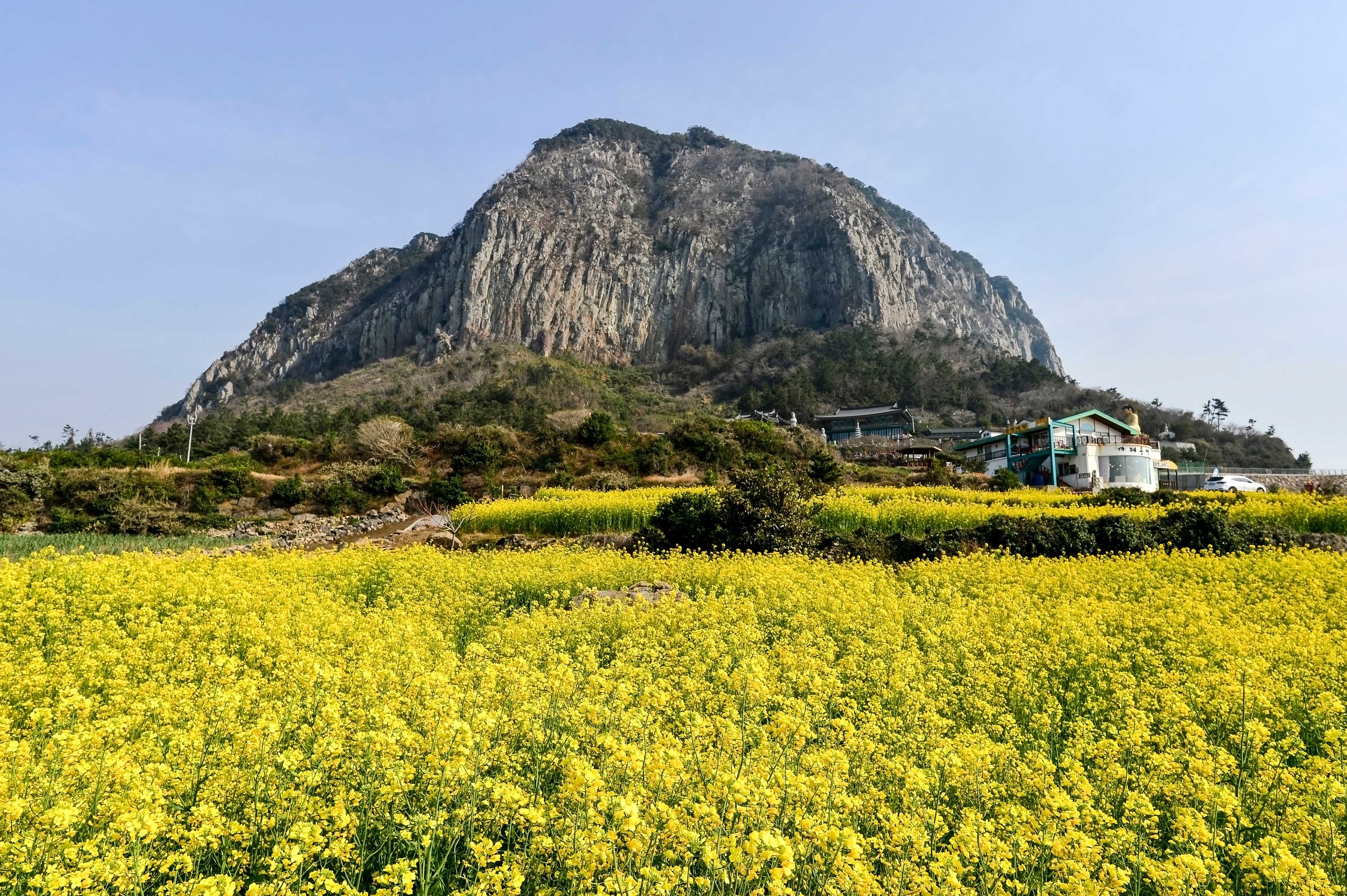 Private transfers around Andeok-myeon: South Korea with Daytrip
