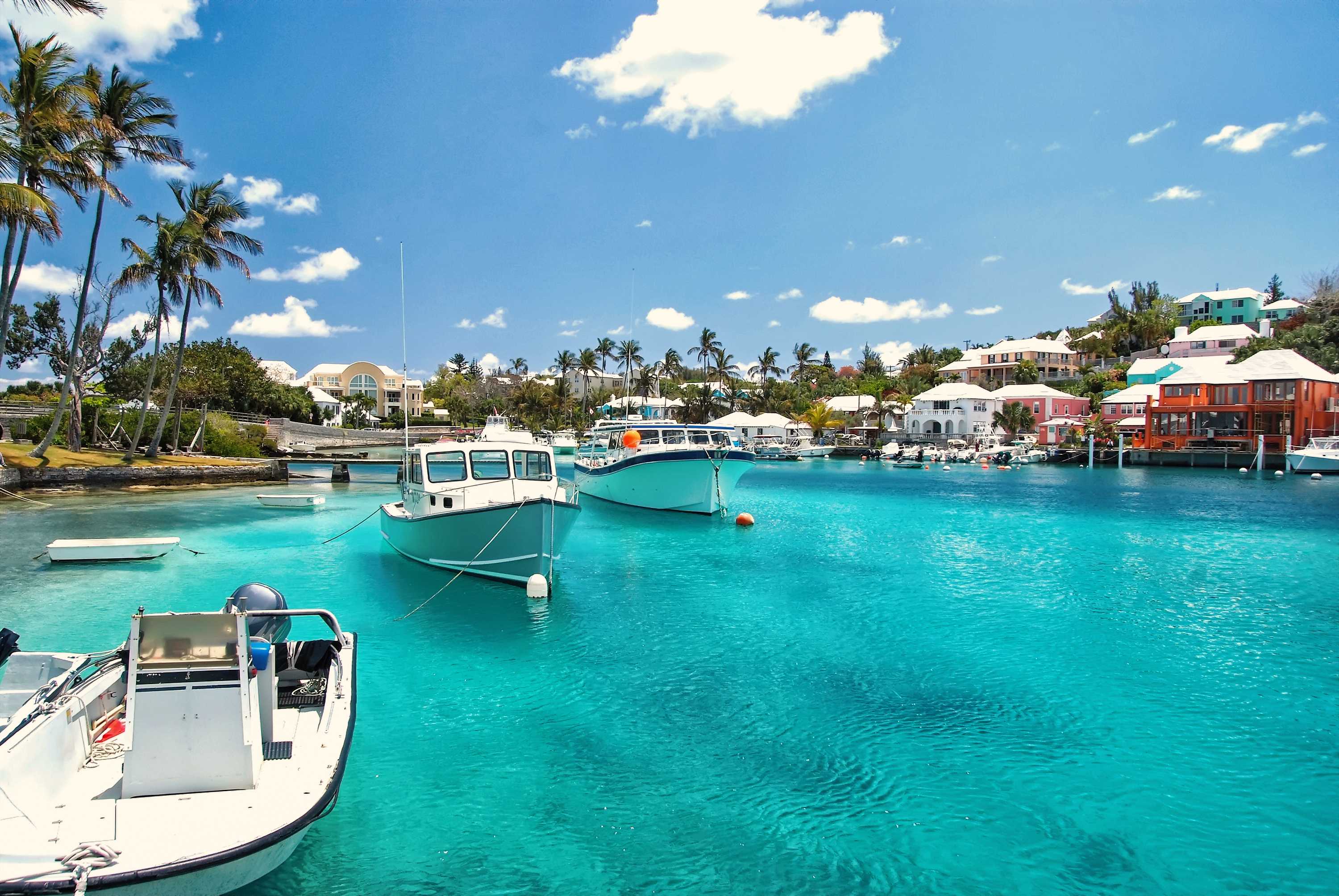 John Smith's Bay Beach to Hamilton Transfer | Daytrip