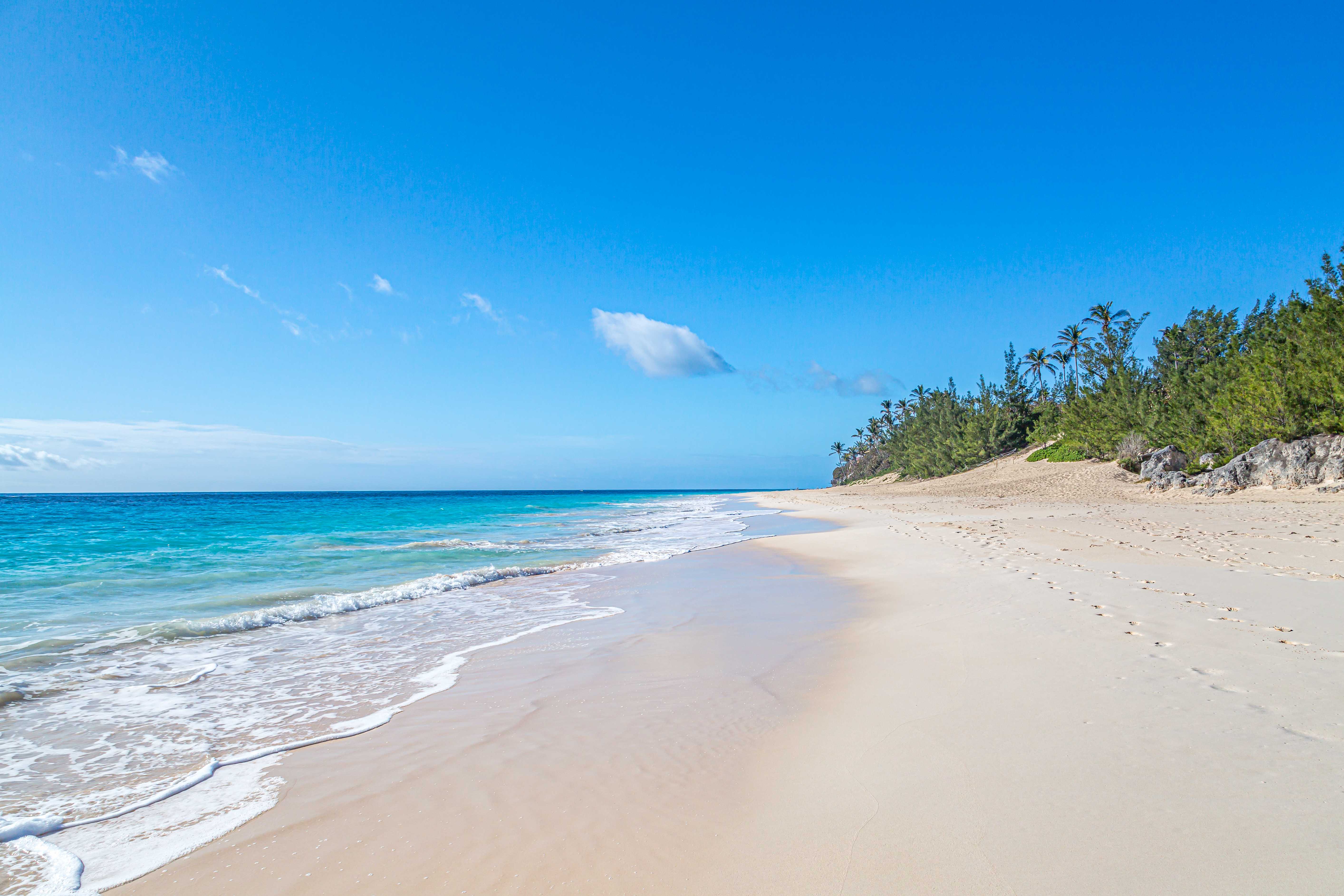 Private transfers around Hog Bay: Bermuda with Daytrip