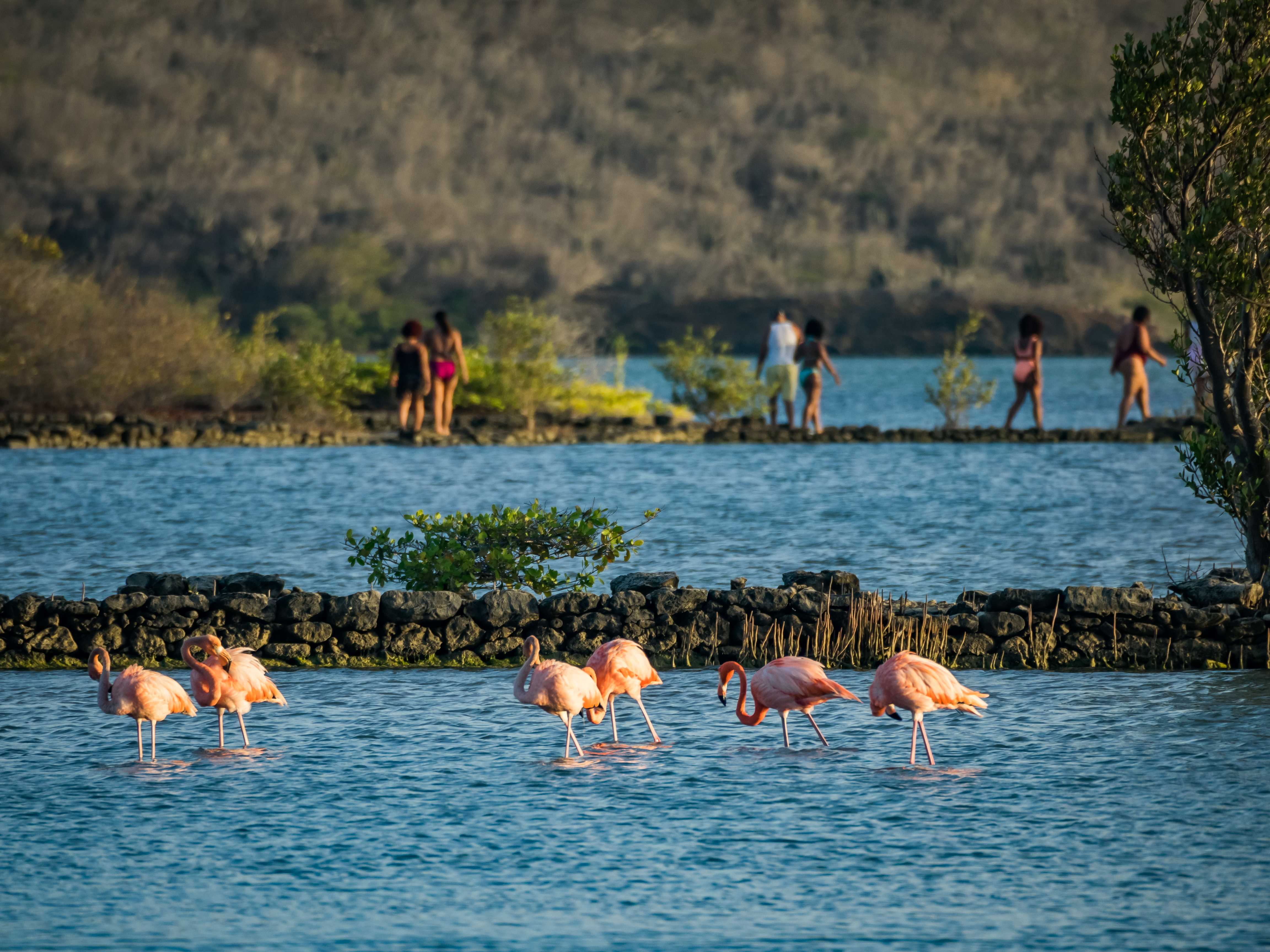 Willemstad - East to Jan Kok Private Transfer | Daytrip