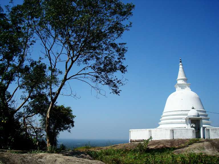 Ratmalana to Walapane Private Transfer | Daytrip