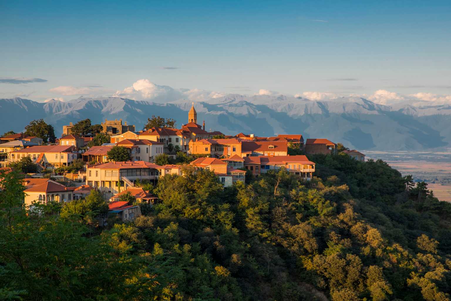 Private Day Trip from Tbilisi to Sighnaghi and Telavi