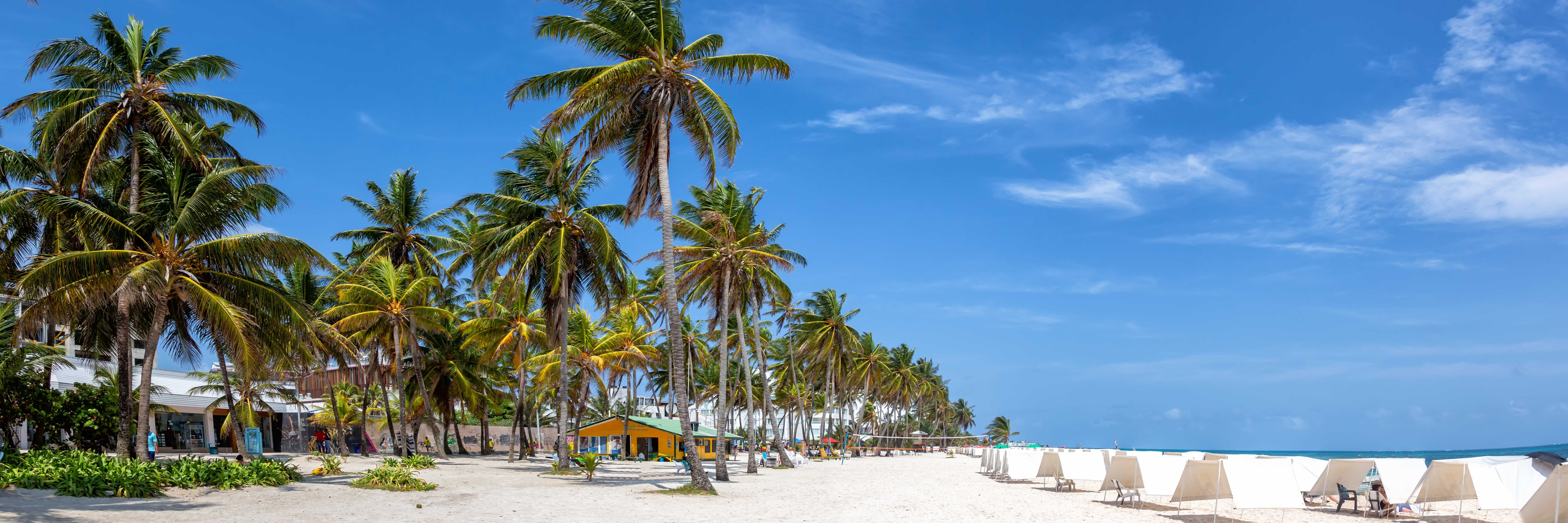 Playa Cocoplum to Playa Spratt Bight Transfer | Daytrip