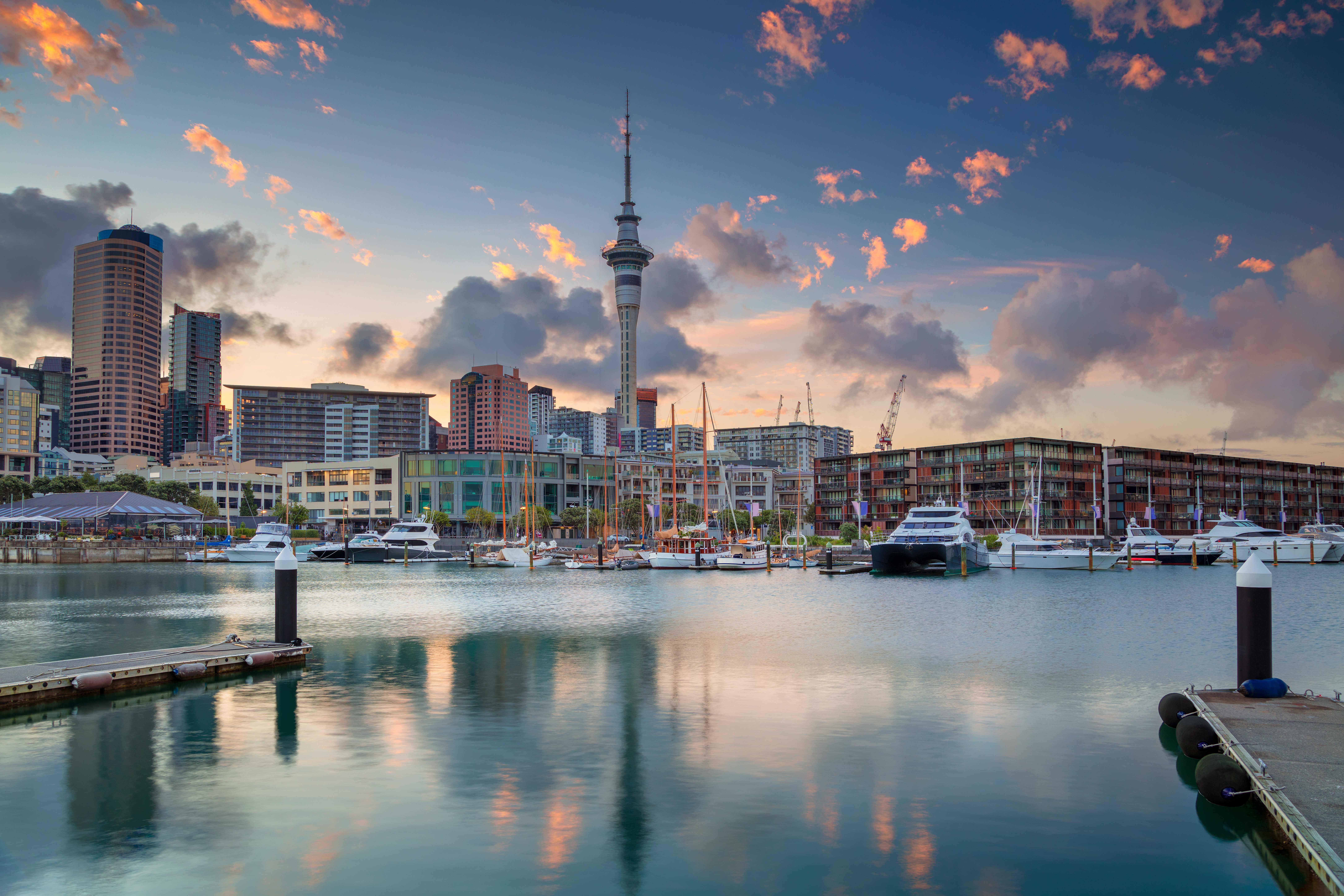 Day Trips from Auckland and Back