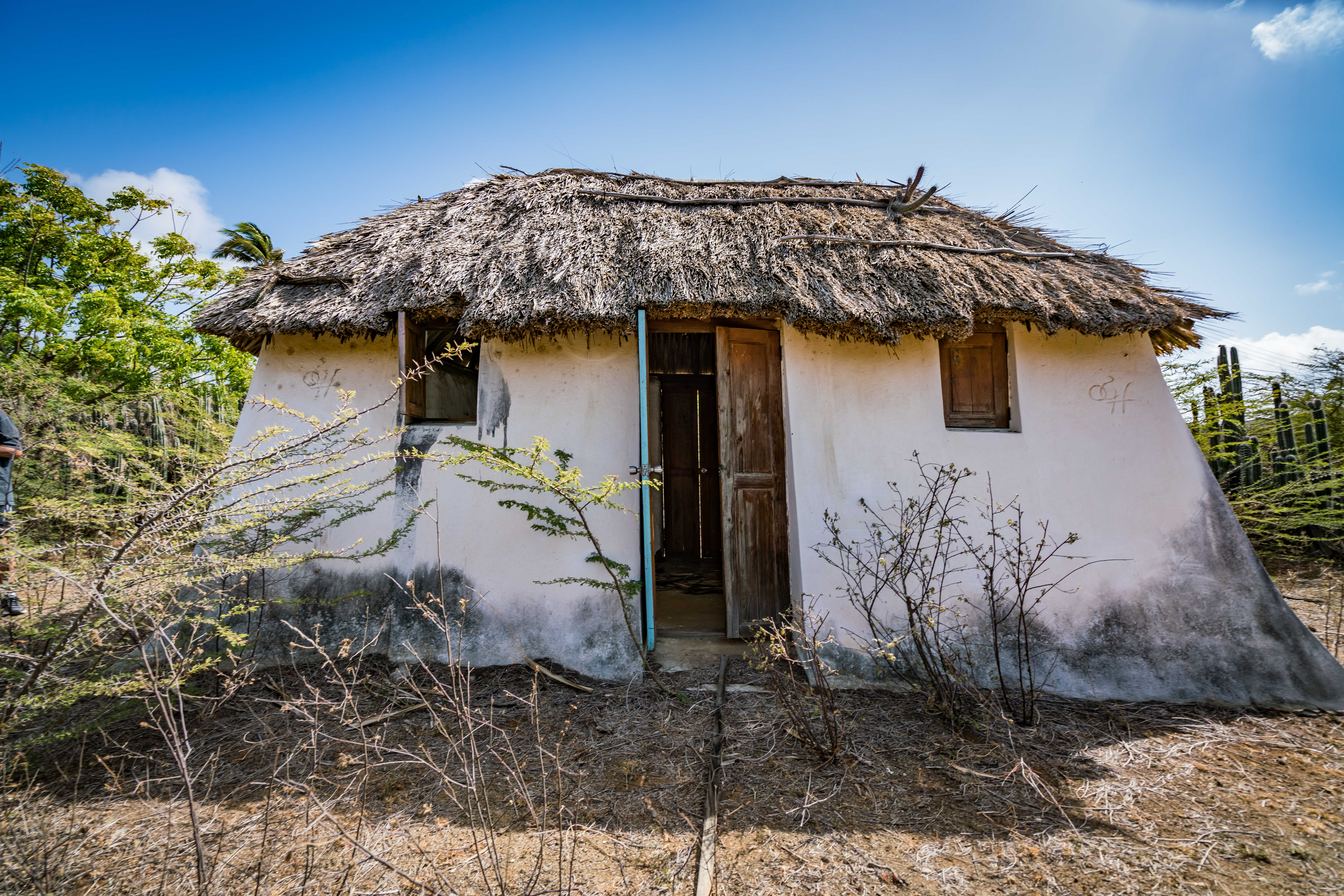Private transfers around Barber: Curacao with Daytrip