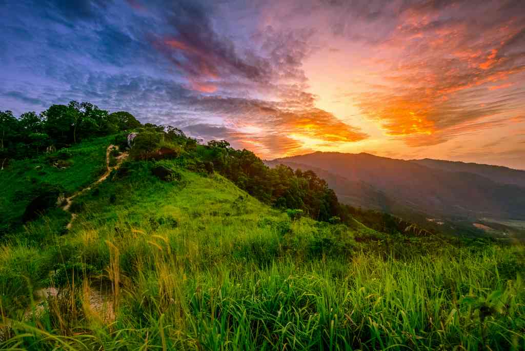 Private Day Trip from Kuala Lumpur to Batu Caves and Bukit Broga Hill