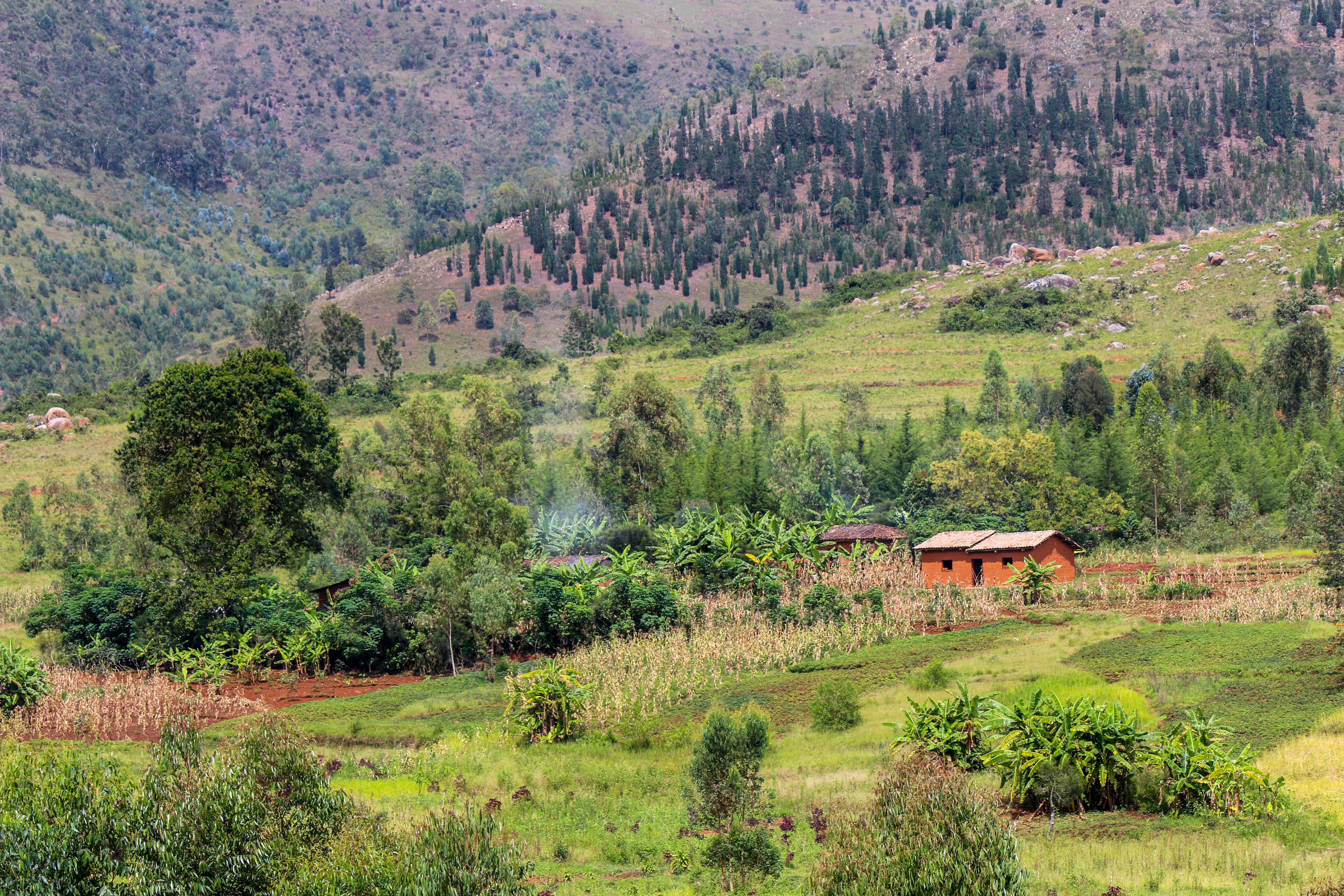 Bujumbura to Bururi Private Transfer | Daytrip