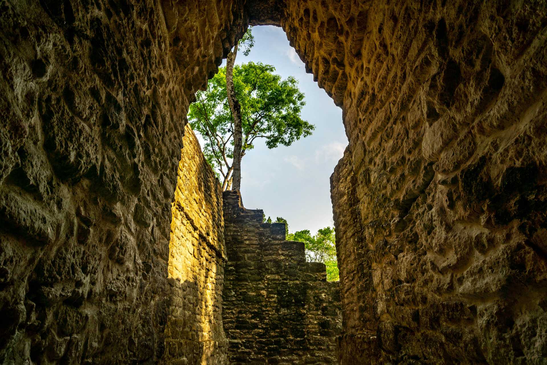 Private Day Trip from Belize City to San Ignacio and Cahal Pech ...