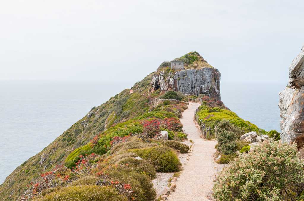 Private Day Trip from Cape Town to Cape of Good Hope and Back