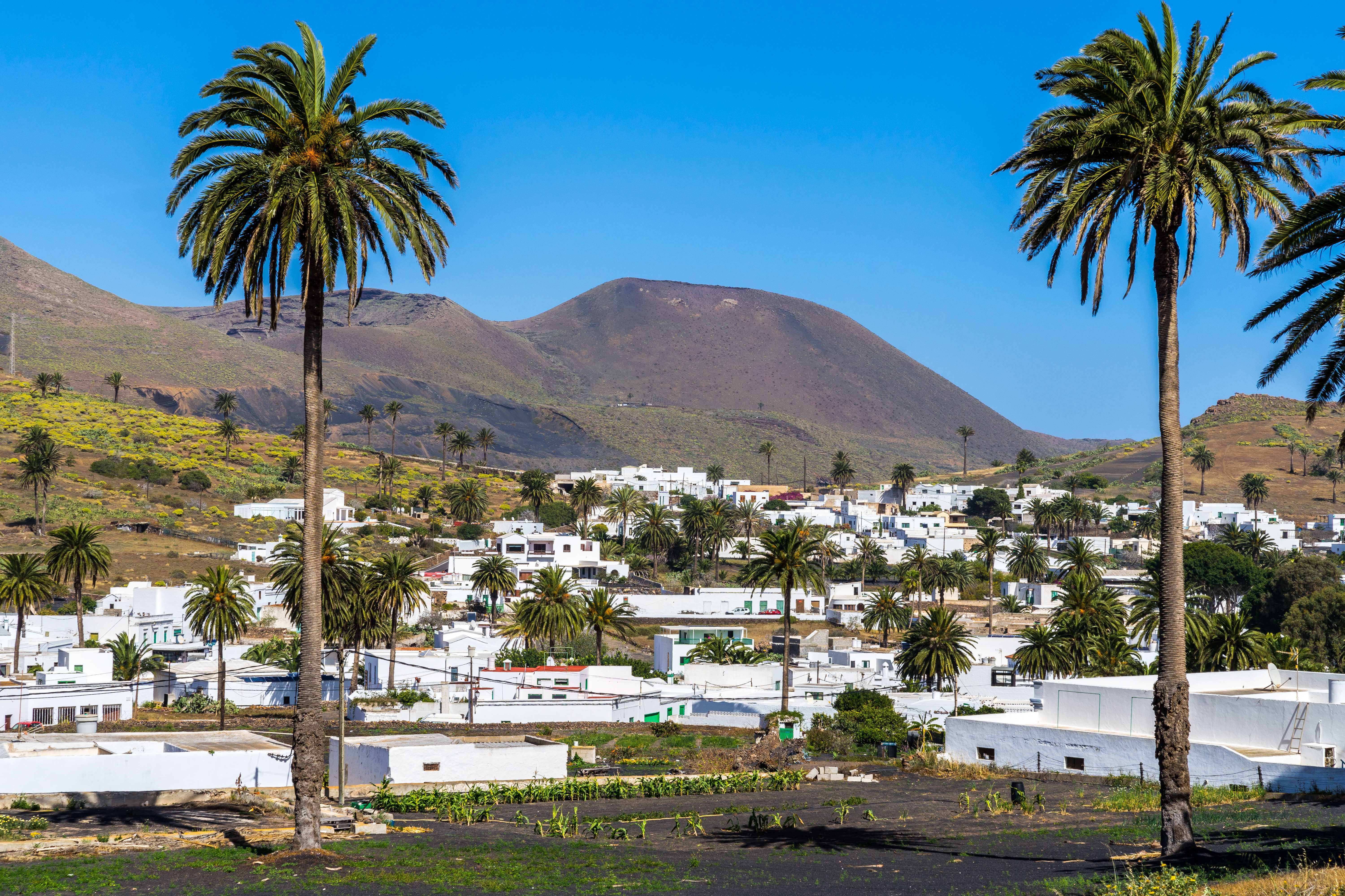Puerto del Carmen to Haria Private Transfer | Daytrip