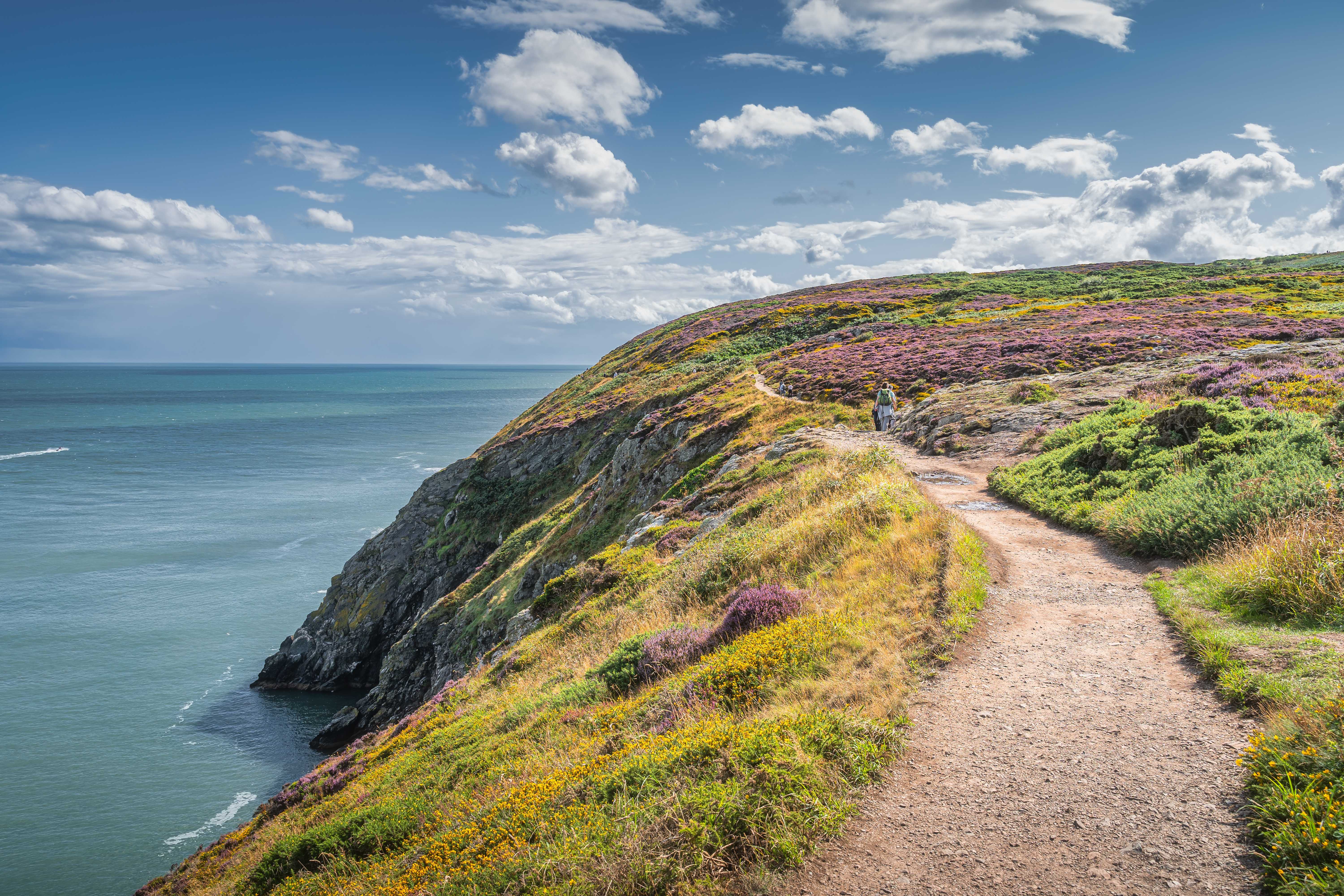 Private Day Trip from Dublin to Howth Cliff and Malahide Castle & Gardens
