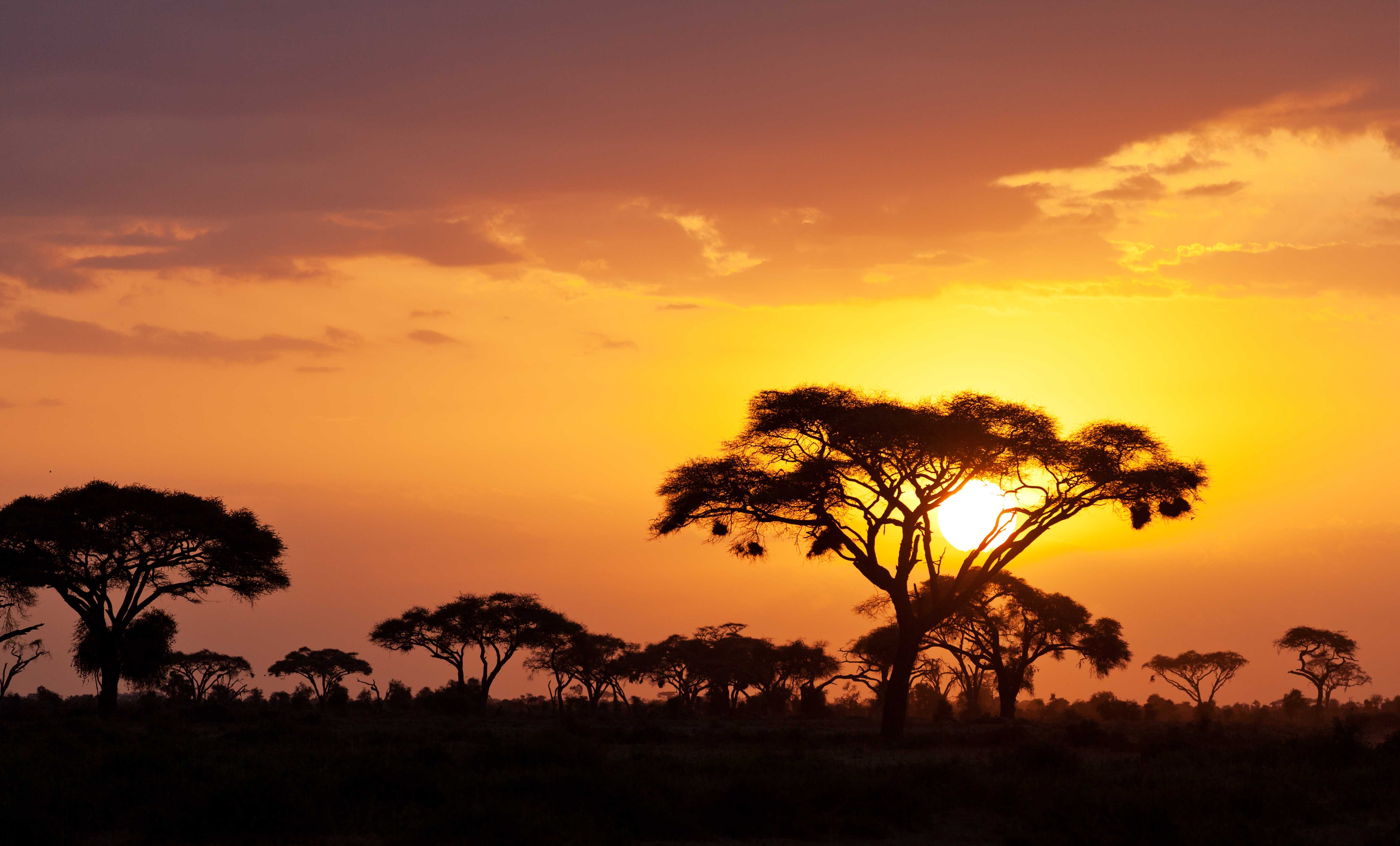 Mombasa to Isinya Private Transfer | Daytrip