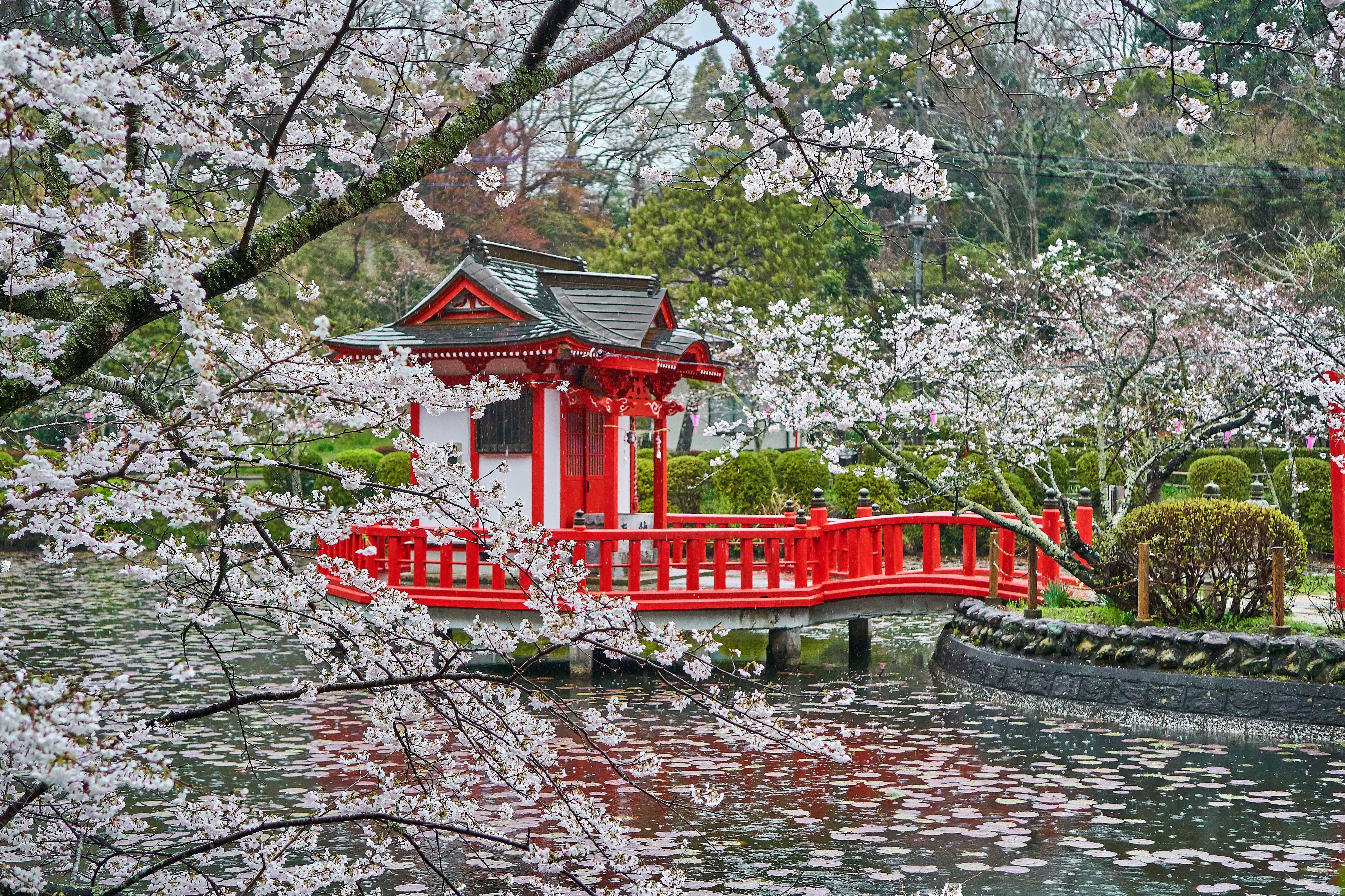 Private Day Trip from Tokyo to Mobara Park and Izumi Nature City Park