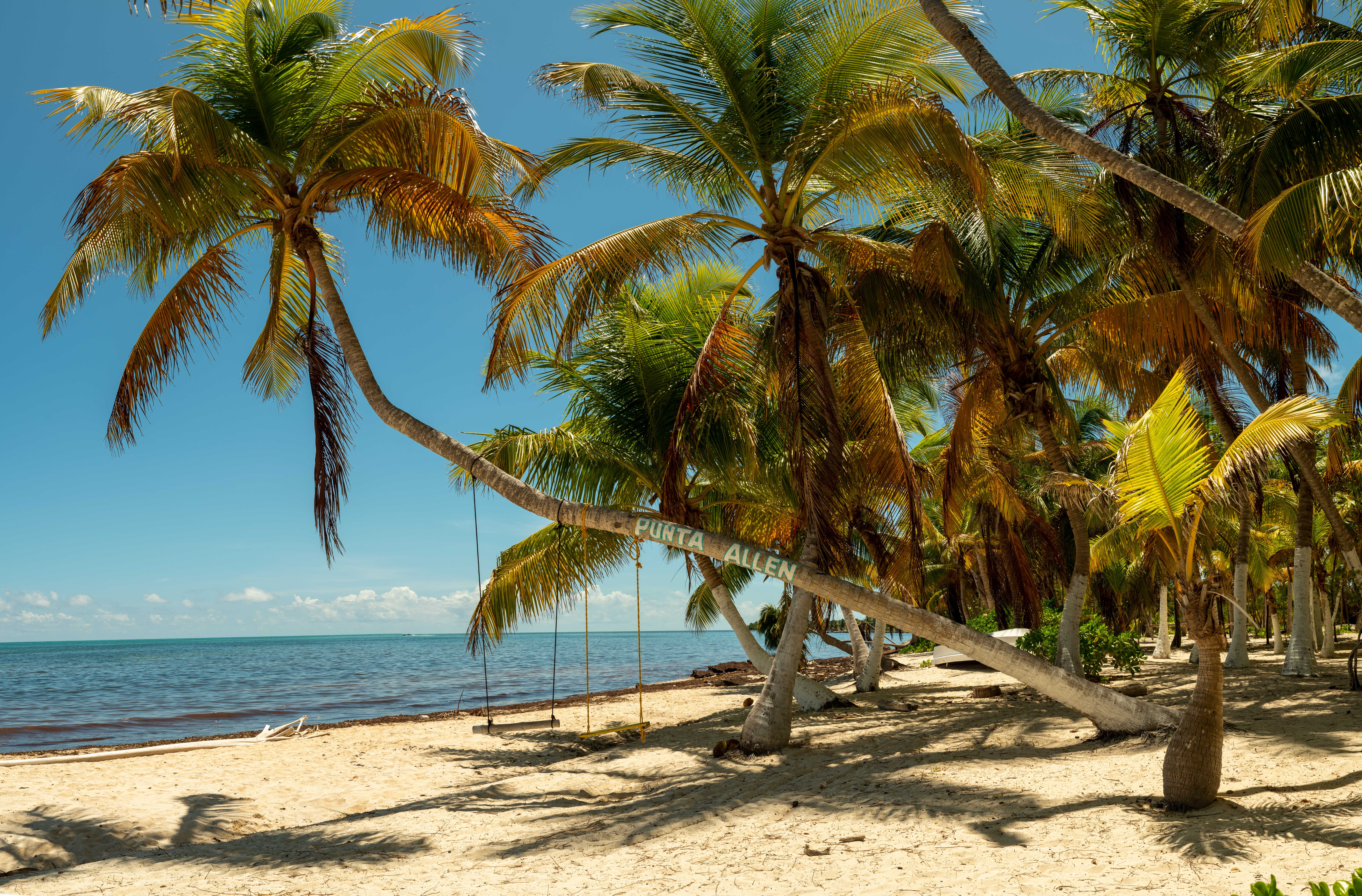 Cancun Airport to Punta Allen Private Transfer | Daytrip