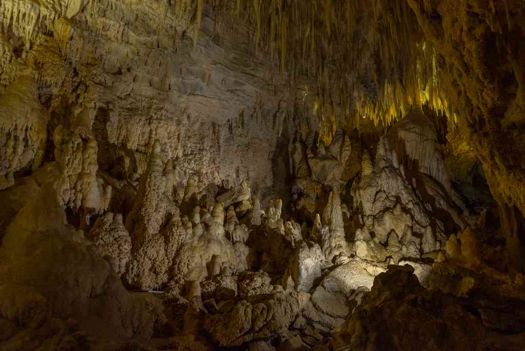 Private Day Trip from Auckland to Waitomo and Ruakuri Cave