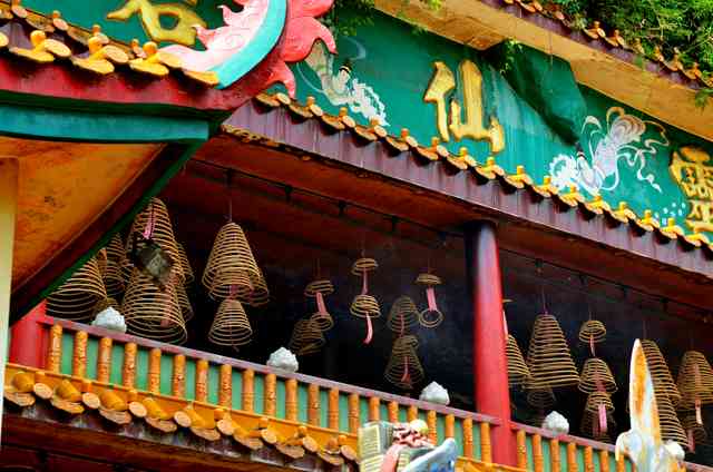 Private Day Trip from Ipoh to Cameron Highlands and Sam Poh Temple