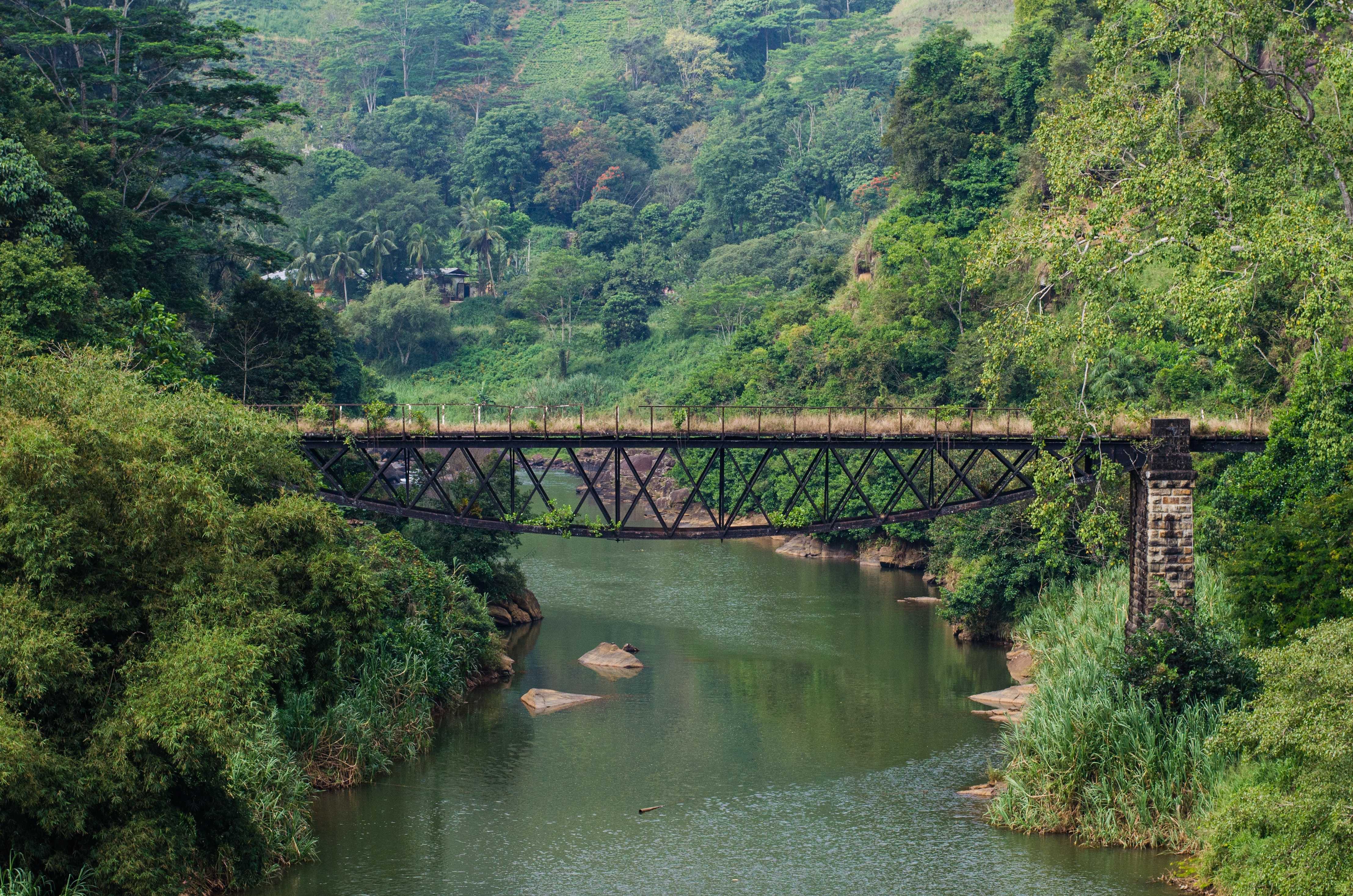 Kandy to Ulapane Private Transfer | Daytrip